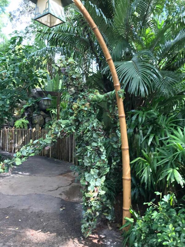 Divine at Disney's Animal Kingdom - Military Disney Tips