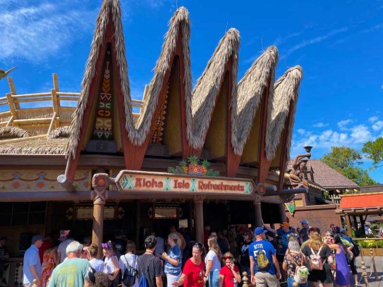 The Magic Kingdom's Aloha Isle - Military Disney Tips