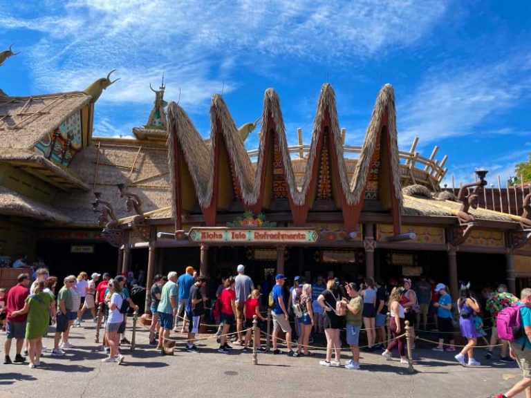 The Magic Kingdom's Aloha Isle - Military Disney Tips