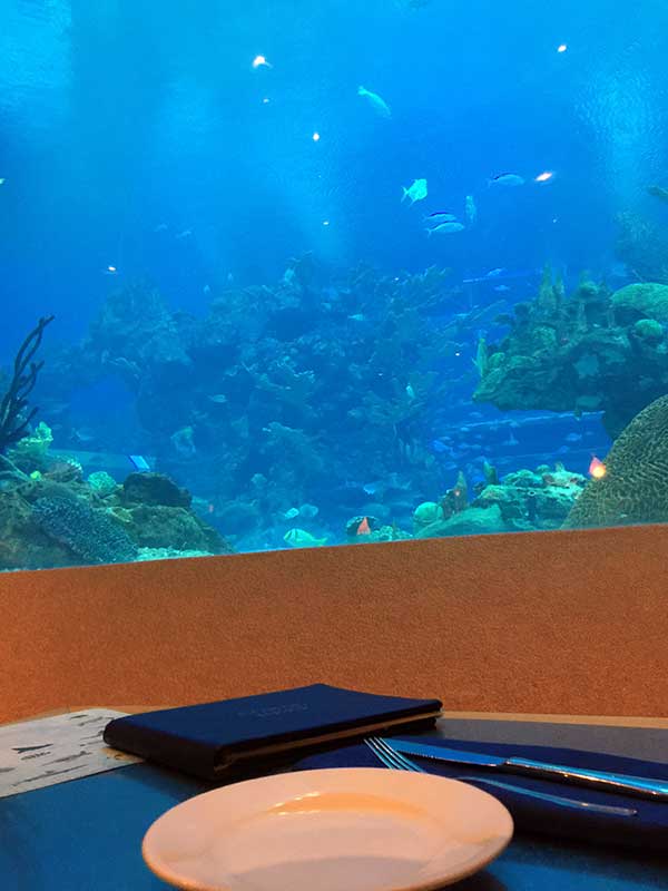 EPCOT's Coral Reef Restaurant - Military Disney Tips