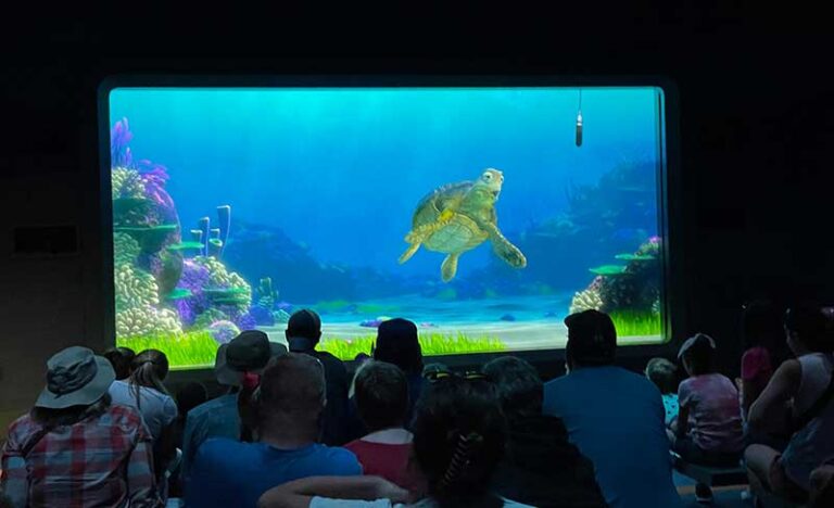 Turtle Talk with Crush at EPCOT's The Seas with Nemo & Friends Pavilion ...