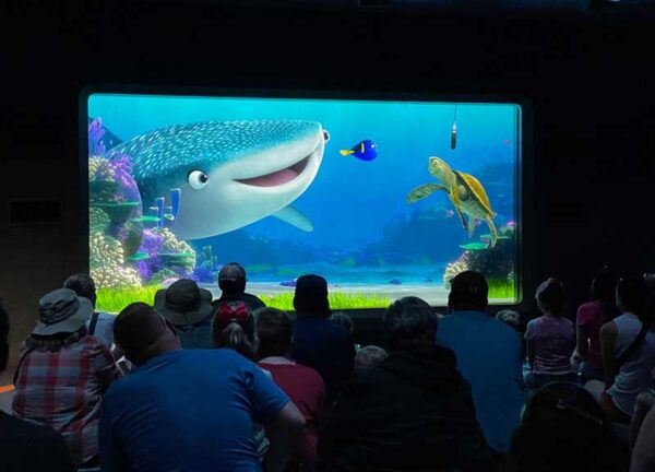 Turtle Talk with Crush at EPCOT's The Seas with Nemo & Friends Pavilion ...
