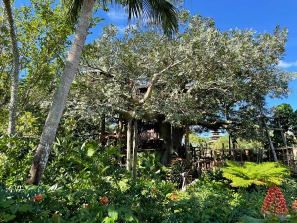 The Magic Kingdom's Swiss Family Treehouse in Adventureland - Military Disney Tips