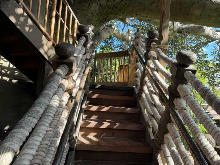 The Magic Kingdom's Swiss Family Treehouse in Adventureland - Military Disney Tips