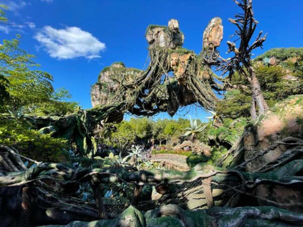Pandora - The World of Avatar at Disney's Animal Kingdom - Military ...
