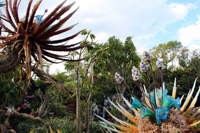 Pandora - The World of Avatar at Disney's Animal Kingdom - Military ...
