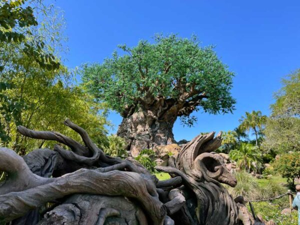Discovery Island in Disney's Animal Kingdom - Military Disney Tips