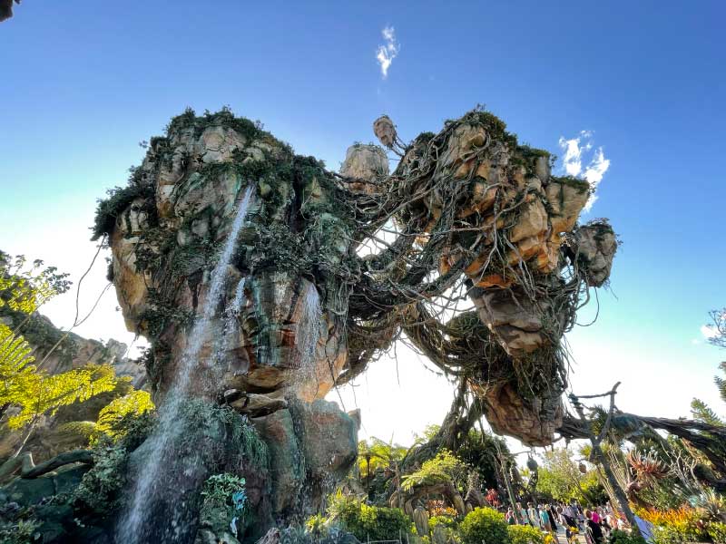 Avatar Flight of Passage in Disney's Pandora – The World of Avatar ...