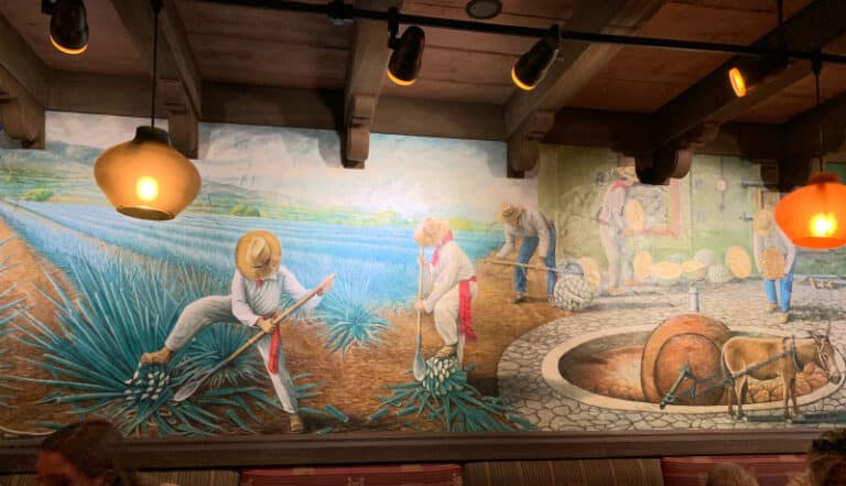 La Cava del Tequila: A Hidden Gem for Tequila Lovers - Military Disney Tips