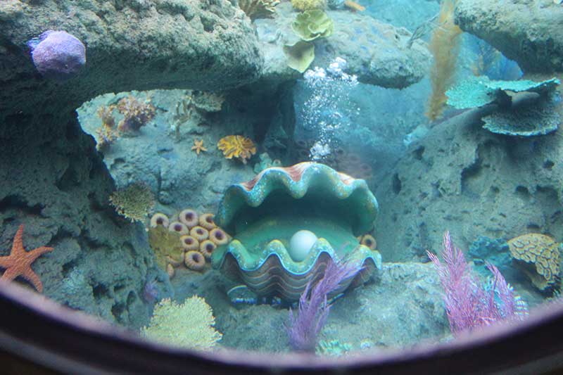 Finding Nemo Submarine Voyage at Disneyland Park - Military Disney Tips
