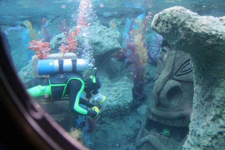 Finding Nemo Submarine Voyage at Disneyland Park - Military Disney Tips